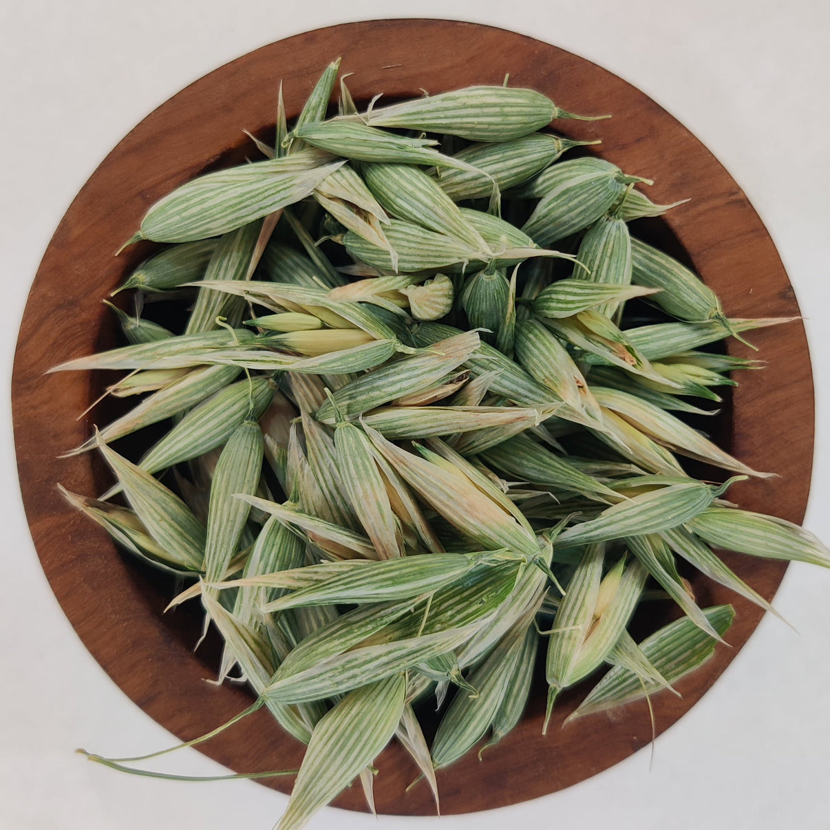 Dried Milky Oats – Sawmill Herb Farm